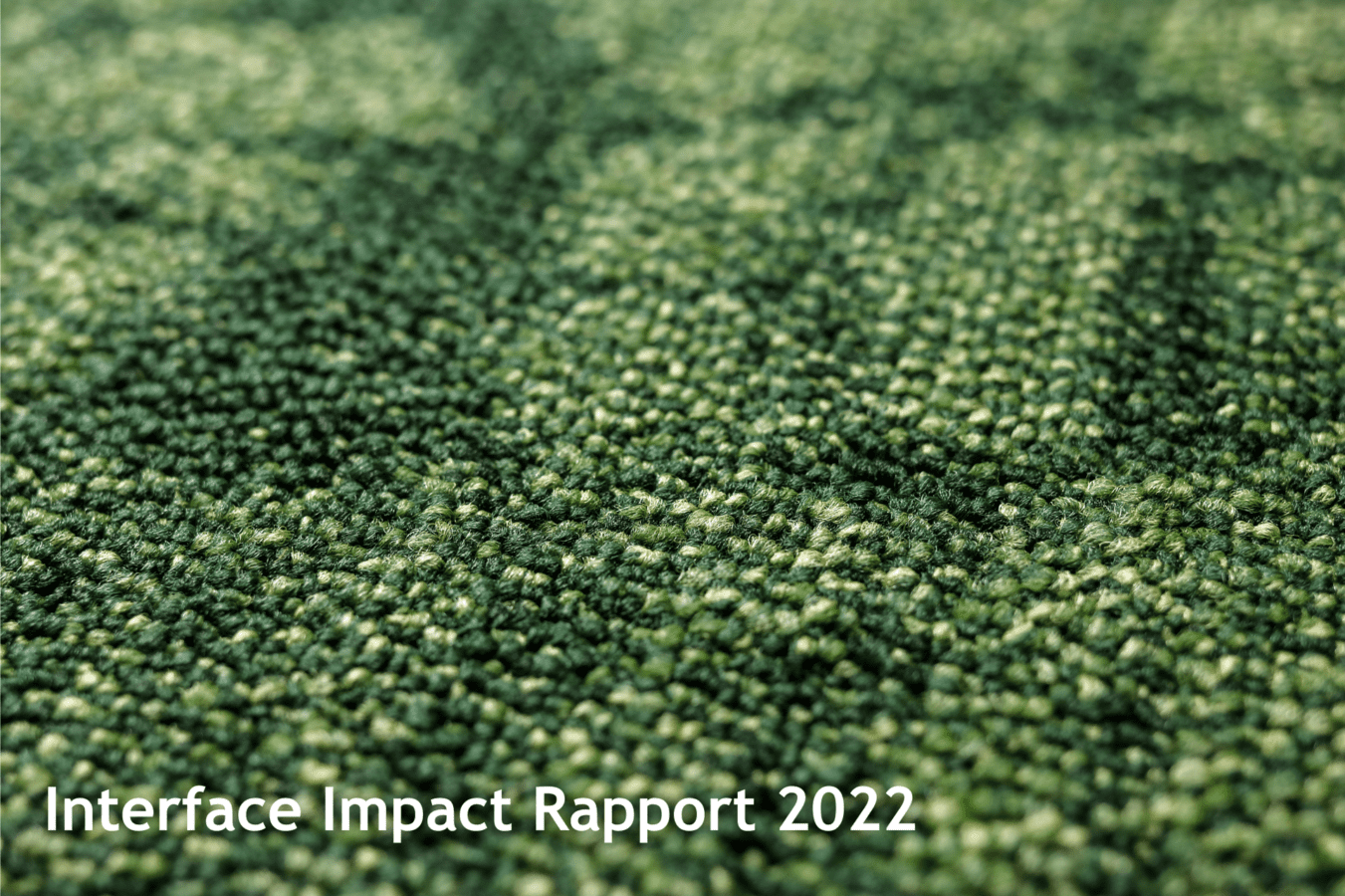 Interface publiceert Impact Rapport 2022 - DeWolven